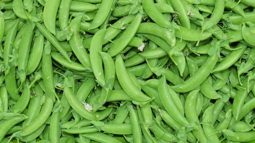 Koken met sugar snaps: tips, tricks en de lekkerste recepten - Culy